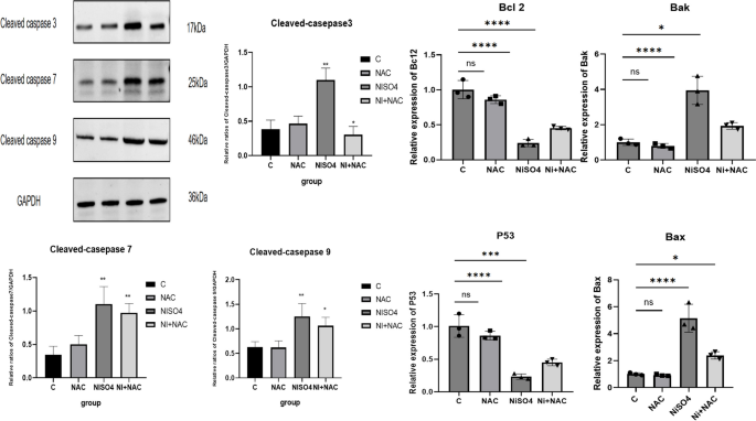 Nickel Sulfate-Induced GSIS Injury in MIN6 Cells by Activating the JNK ...