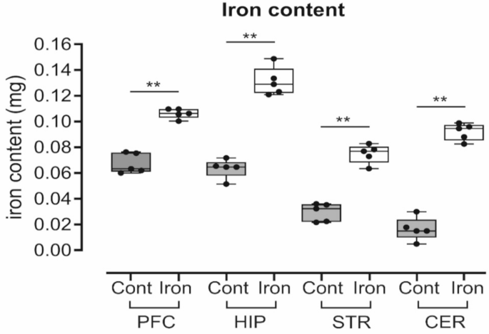 Iron-induced Oxidative Stress and Anxiety-like Behavior in Wistar Rats ...