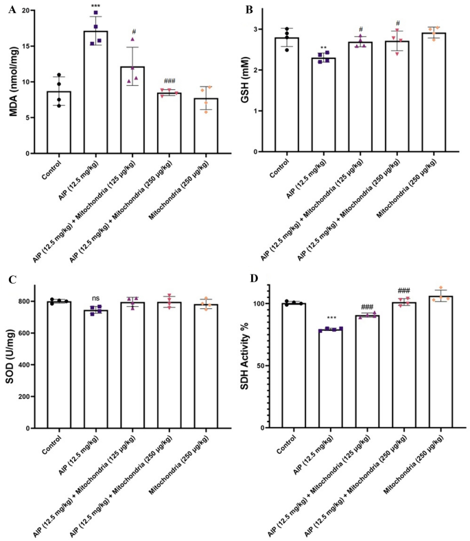 Mitotherapy with Fresh Isolated Cardiac Mitochondria Via Injection Into ...