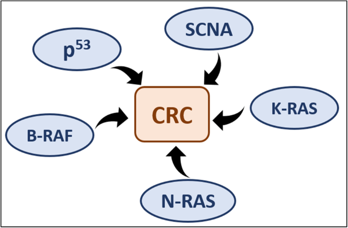 Molecular Understanding and Pharmacological Potency of Plant-Derived ...