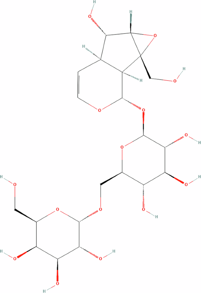 Mechanisms of Rehmannioside A Against Systemic Lupus Erythematosus ...