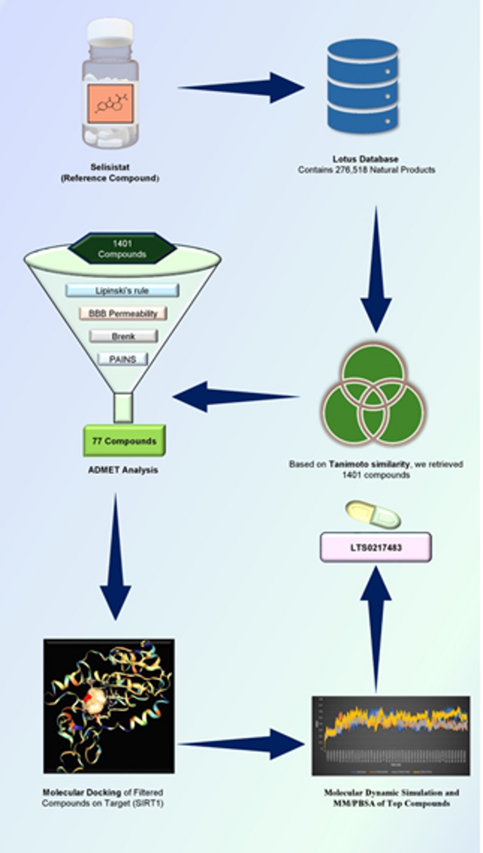 In Silico Identification of Natural SIRT1 Inhibitors through Molecular ...