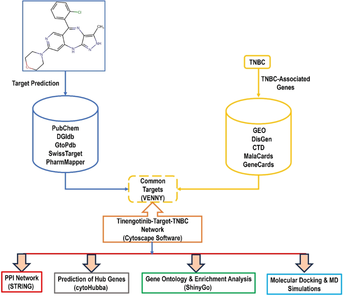 Unravelling Tinengotinib’s Mechanistic Landscape in Triple-Negative ...