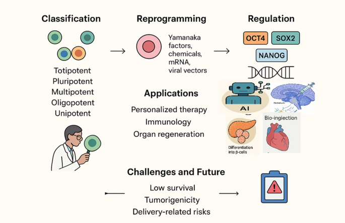 “Stem Cells in Regenerative Medicine: from Discovery and Molecular ...