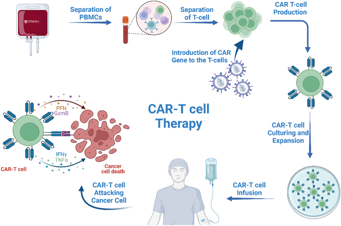 Beyond Conventional Treatments: Exploring CAR-T Cell Therapy for Cancer ...