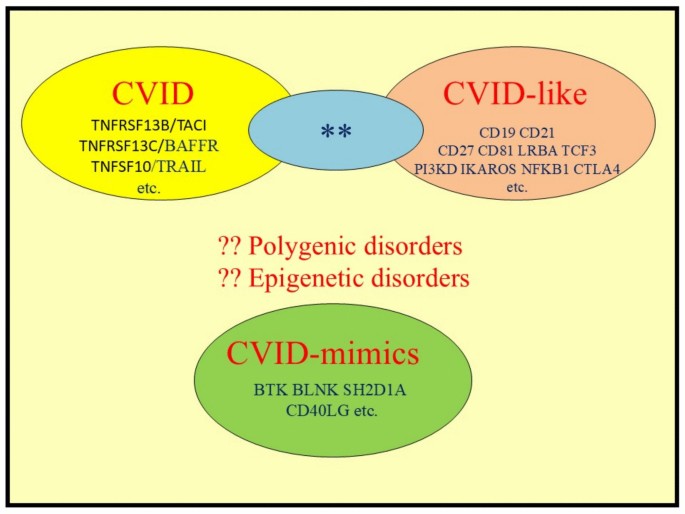 Common Variable Immunodeficiency Disorders: A perspective from New ...