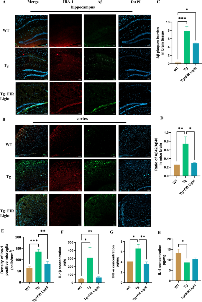 Far-Infrared Radiation Ameliorates the Cognitive Dysfunction in an ...