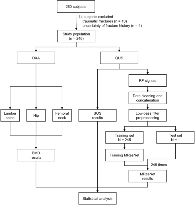 Evaluation of fragility fracture risk using deep learning based on ultrasound radio frequency ...