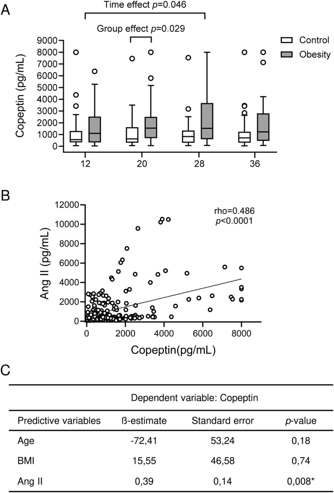 Copeptin in obese and nonobese pregnant women | Endocrine