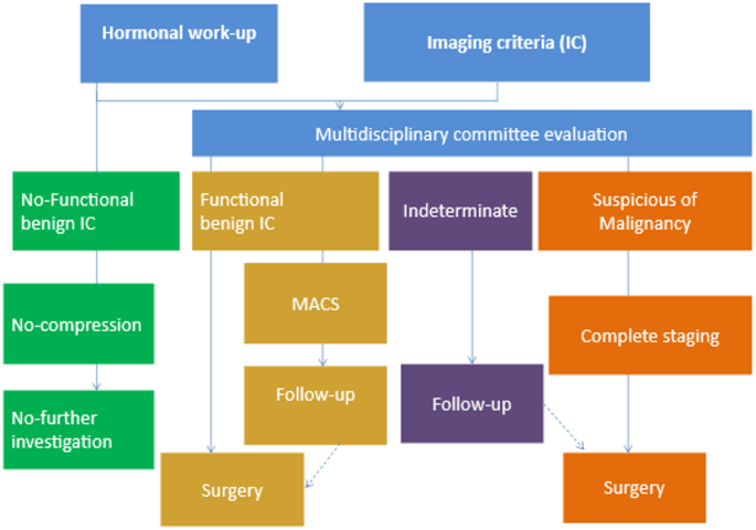 Update of the guidelines on the management of adrenal incidentaloma ...