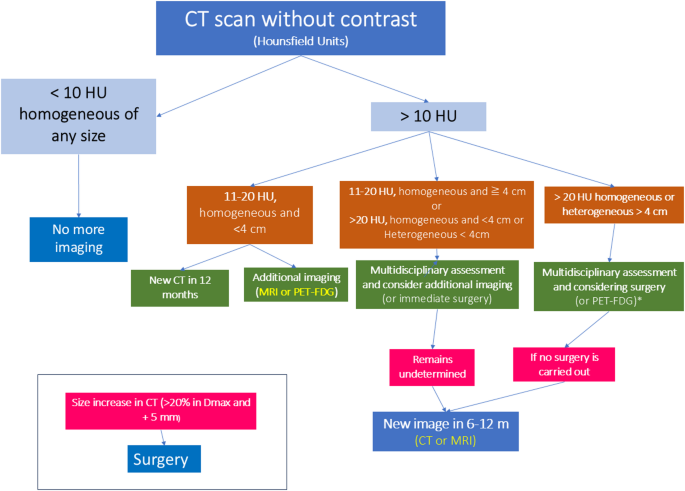 Update of the guidelines on the management of adrenal incidentaloma ...