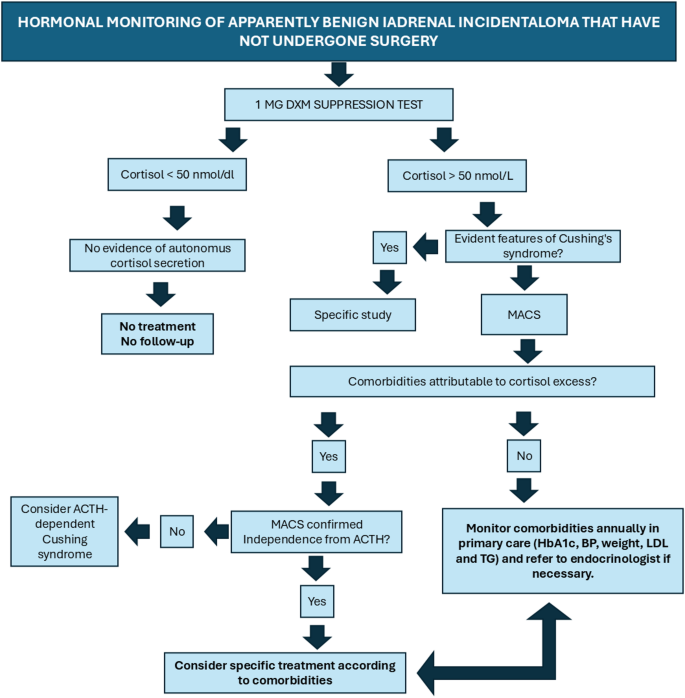 Update of the guidelines on the management of adrenal incidentaloma ...