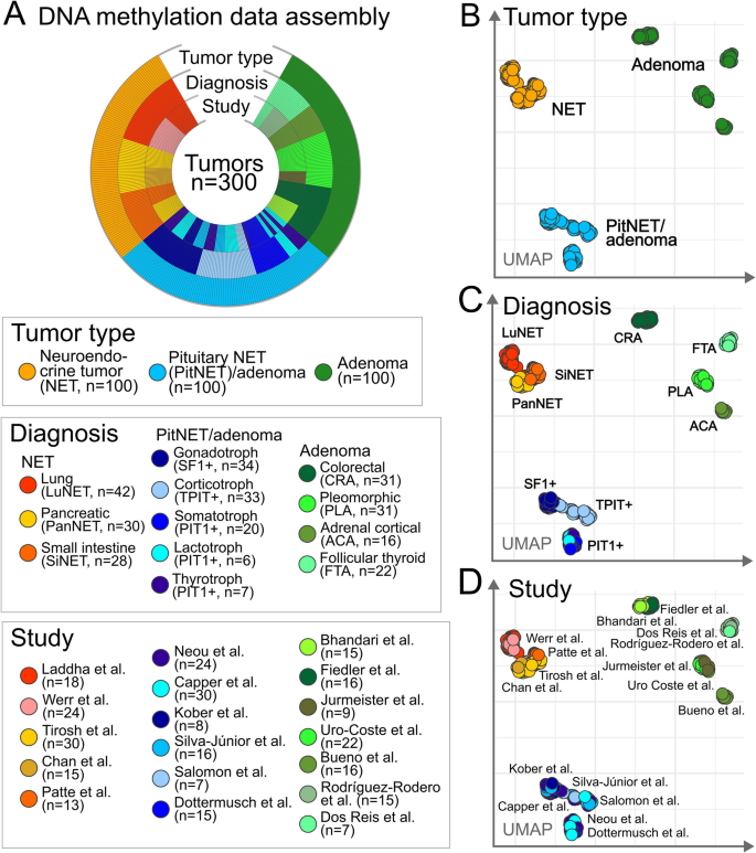 Pituitary Neuroendocrine Tumor or Pituitary Adenoma? Let’s Ask the ...