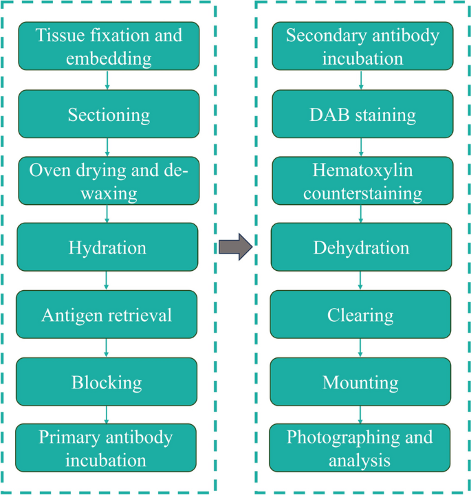 Differential analysis of sorting nexin 10 and sterol regulatory element ...