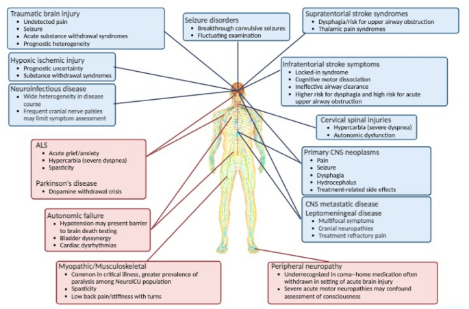 Care of the Patient Nearing the End of Life in the Neurointensive Care ...