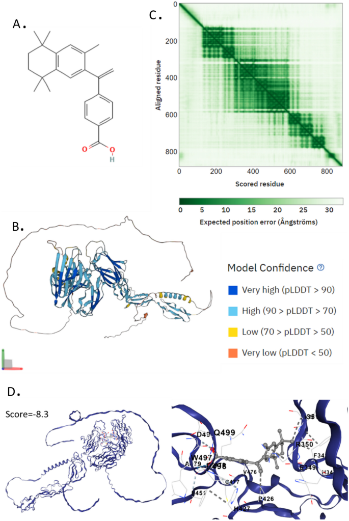Targeting SEZ6L2 in Colon Cancer: Efficacy of Bexarotene and ...