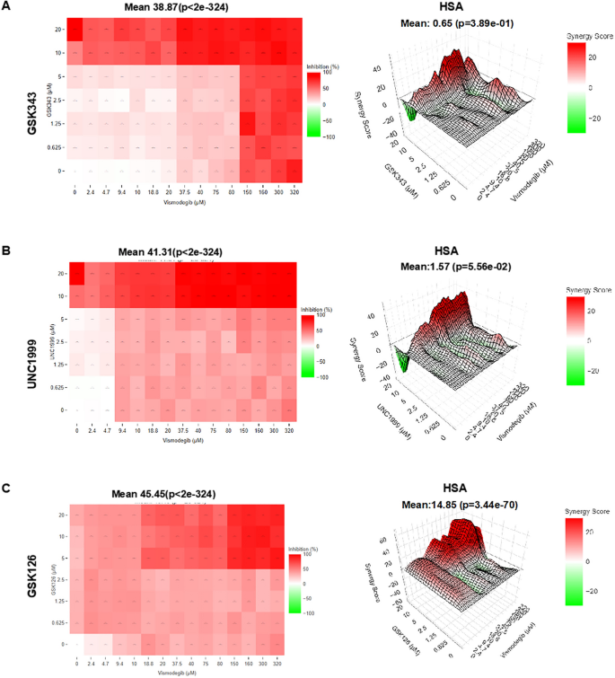 EZH2 inhibitor and Vismodegib synergistically inhibit the growth and ...