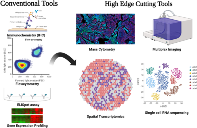 Immune profiling in oncology: bridging the gap between technology and ...