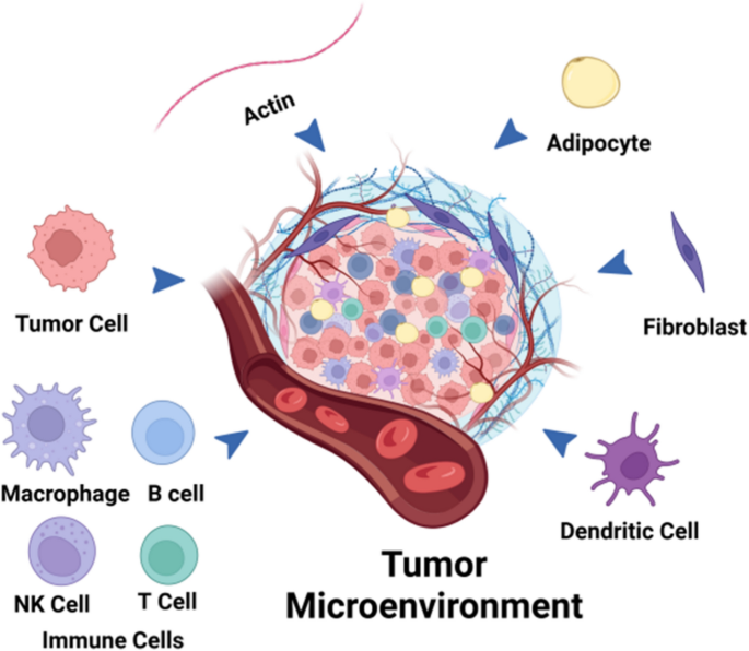 Tumor microenvironment response to neoadjuvant therapy in breast cancer ...