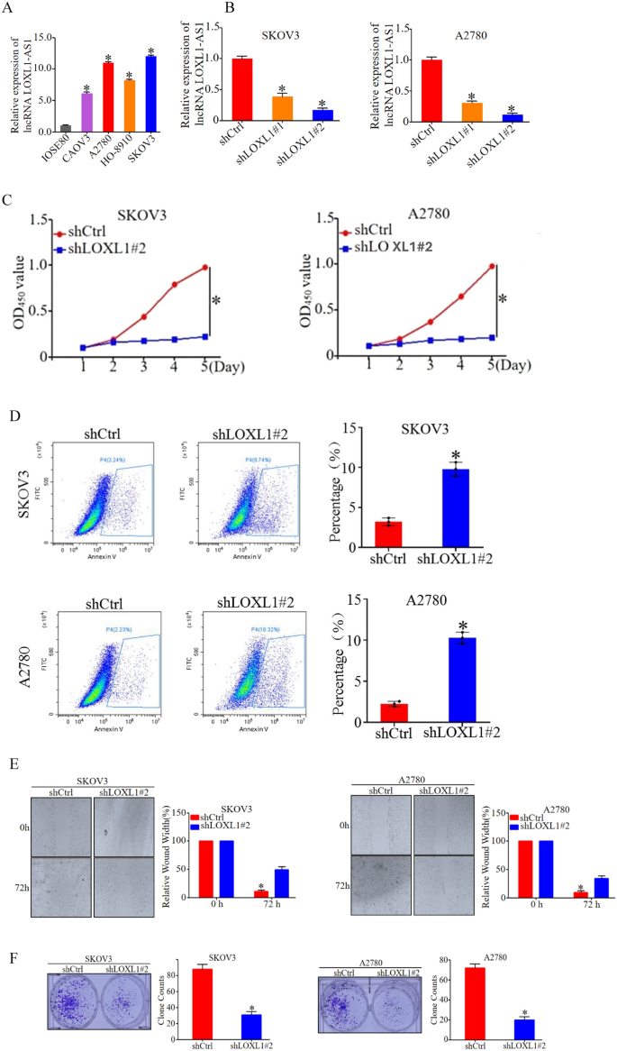 LncRNA LOXL1-AS1 promotes ovarian cancer progression by enhanced BRIP1 ...