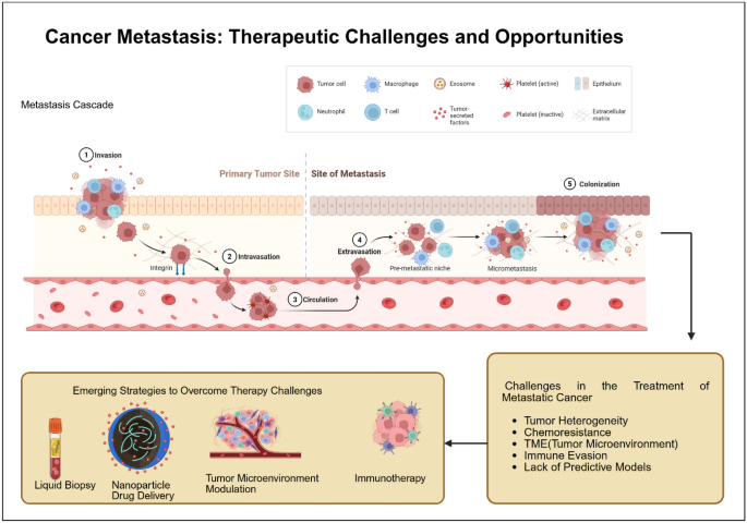 Cancer Metastasis: Therapeutic Challenges and Opportunities | Medical ...
