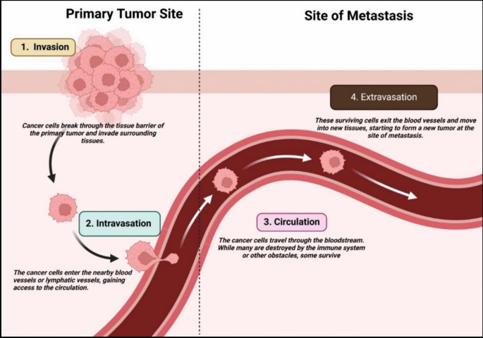Recent advances in metallic nanostructure-based photothermal therapy in ...