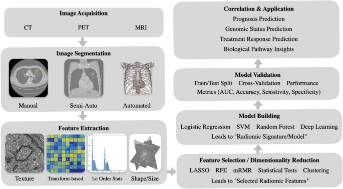 Radiogenomics: transforming lung cancer care through non-invasive ...