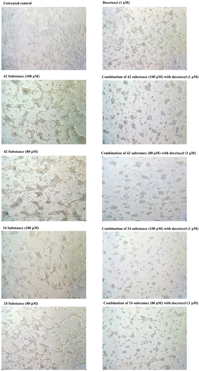 Investigating the synergistic cytotoxicity and apoptosis-inducing ...