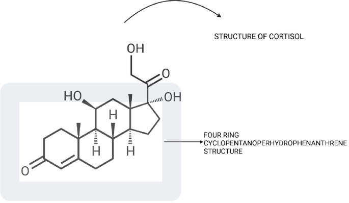 Revisiting the use of steroids in oncology | Medical Oncology ...