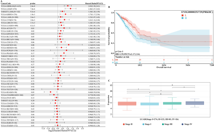 Prognostic and Potential Therapeutic Roles of PRKDC Expression in Lung ...