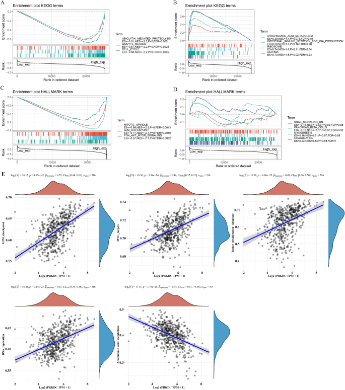 Prognostic and Potential Therapeutic Roles of PRKDC Expression in Lung ...