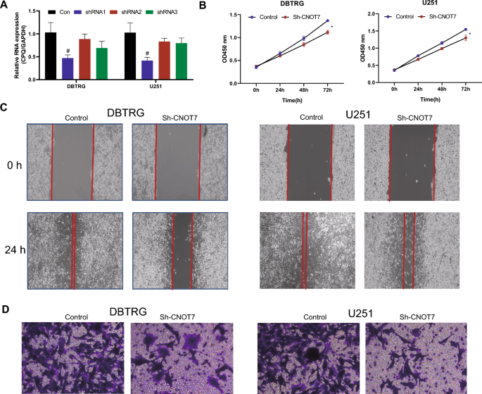 Oncogenic Gene CNOT7 Promotes Progression and Induces Poor Prognosis of ...
