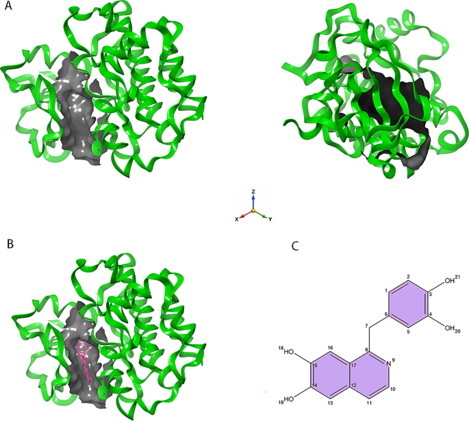 Computational Insights into Papaveroline as an In Silico Drug Candidate ...