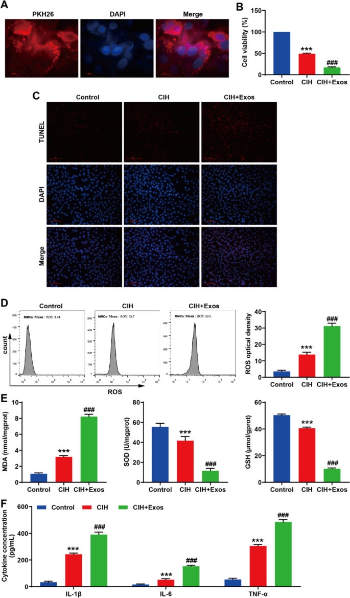 Exosomal LncRNA MALAT1 Derived from Hepatocytes in Nonalcoholic Fatty ...