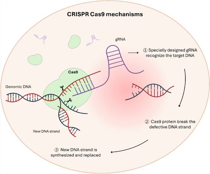 CRISPR Technology for Livestock Improvement: Advances and Future ...