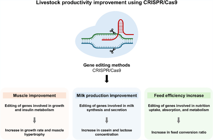CRISPR Technology for Livestock Improvement: Advances and Future ...