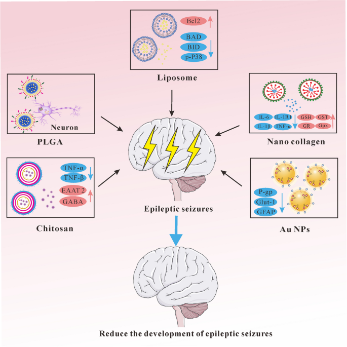 Epilepsy Treatment and Diagnosis Enhanced by Current Nanomaterial ...
