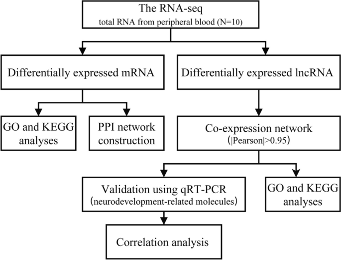 Expression and Function of Long Non-coding RNA in Endemic Cretinism ...