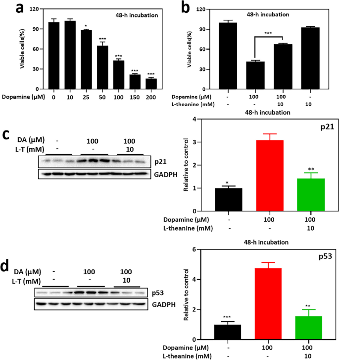 L-Theanine Effectively Protects Against Copper-Facilitated Dopamine ...