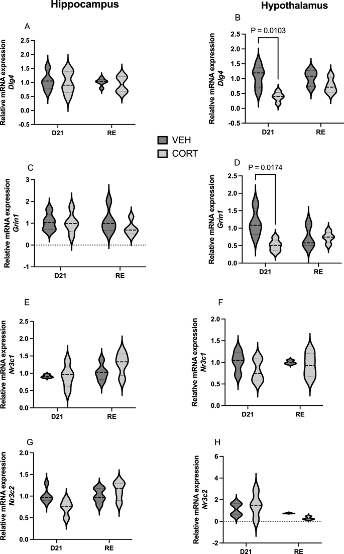 Corticosterone-Induced Depression in Rats: Region-Specific and Time ...