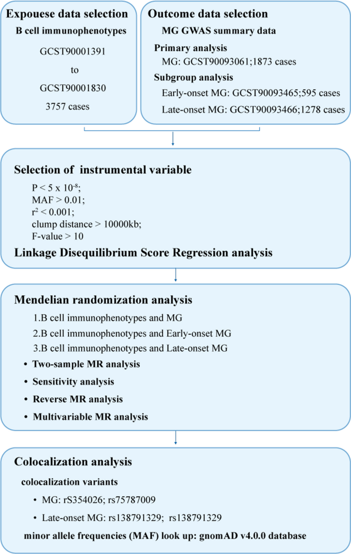 Exploring the Role of B-Cell Biotherapy in Myasthenia Gravis from a ...