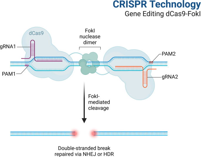 Epigenetic Editing in Neurological and Neuropsychiatric Disorders ...