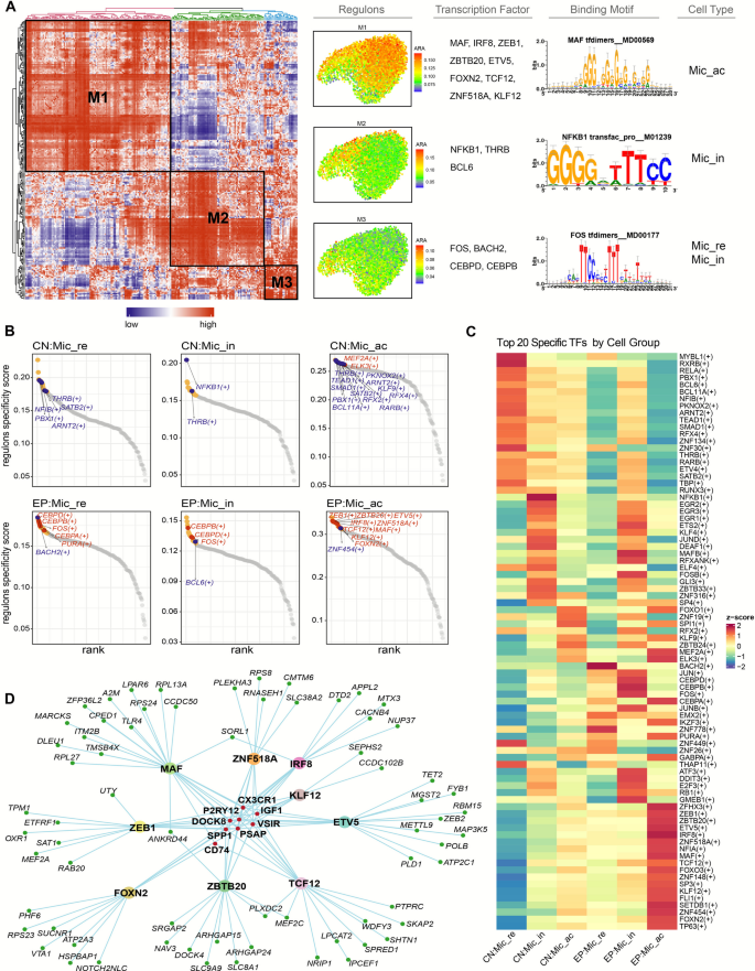 Single-Cell Dissection of the SPP1-CD44 Axis Reveals Microglia ...