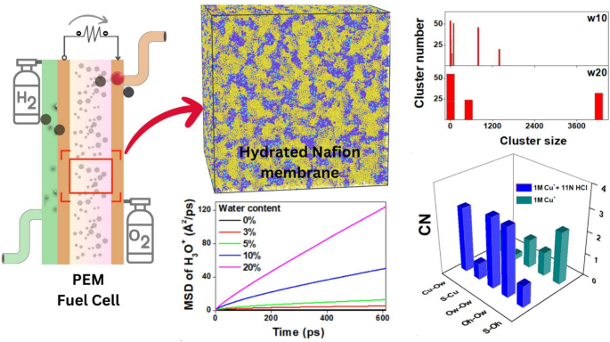 Molecular dynamics revelations of structures and dynamics of H3O+, Cu+ ...