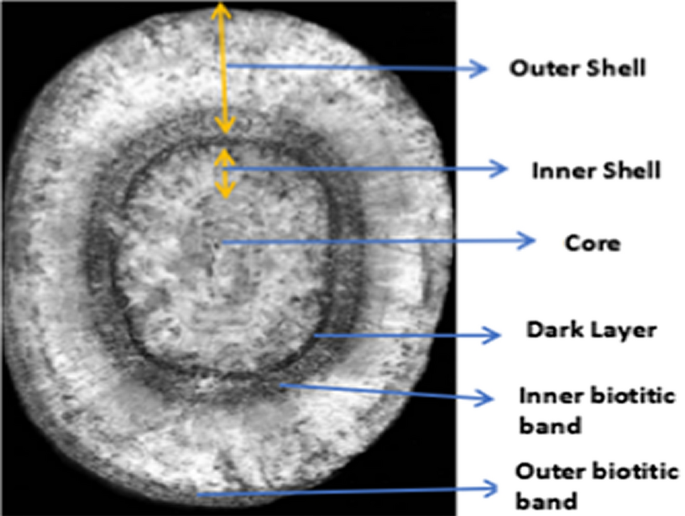 Diffusion-driven orbicular dynamics of metamorphic granites | Journal ...