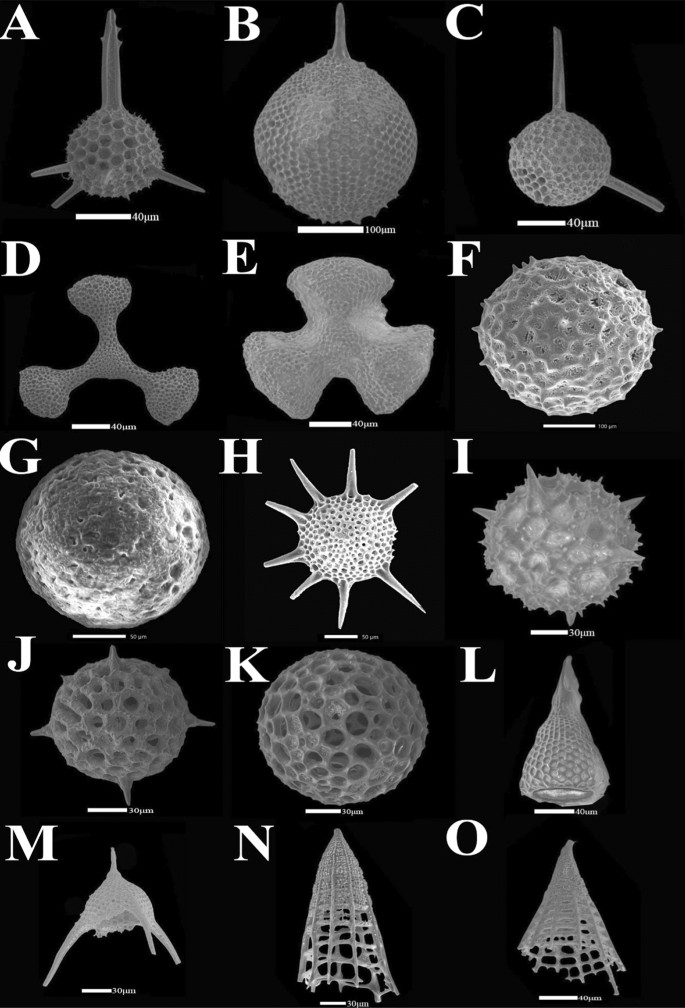 Paleoceanographic and climatic shifts in the southern Bay of Bengal ...