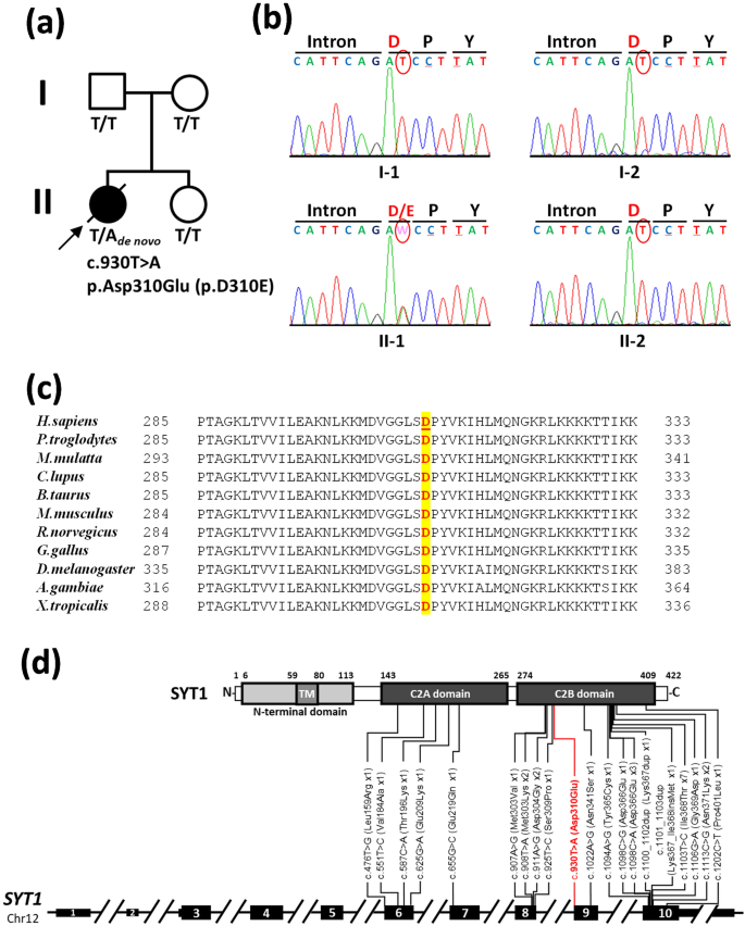 Expanding the genetic and phenotypic spectrum of Baker–Gordon syndrome ...