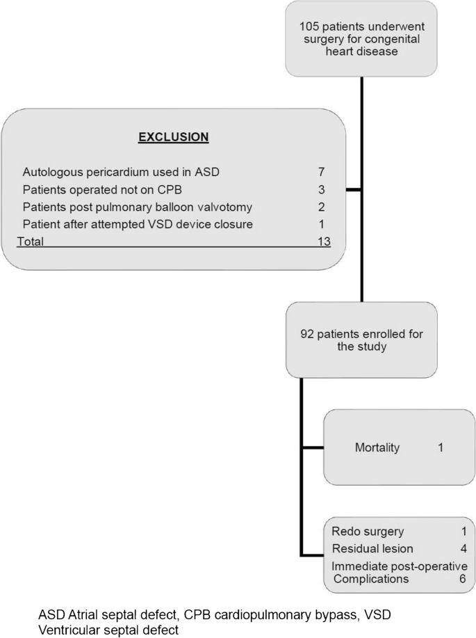 Tissue engineered decellularized bovine pericardium as prosthetic ...