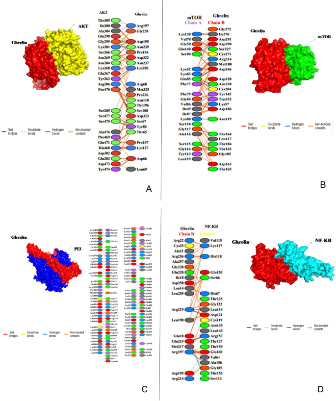 Role of Ghrelin in the Development of Oral Potentially Malignant ...