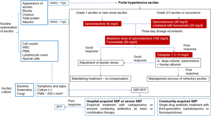Chinese guidelines on the management of ascites in cirrhosis ...